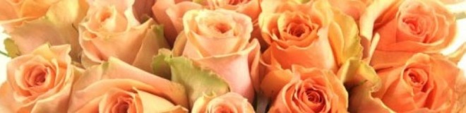 Сколько стоят розы в воде - Дневник садовода Kateflowershop.ru